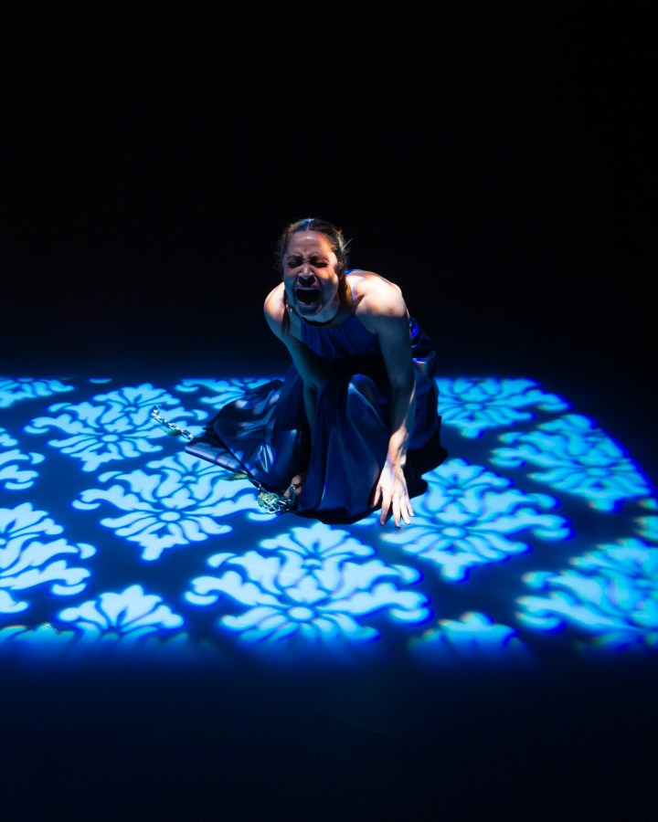 Theatre Rusticle’s “The Tempest” – A View from the Box